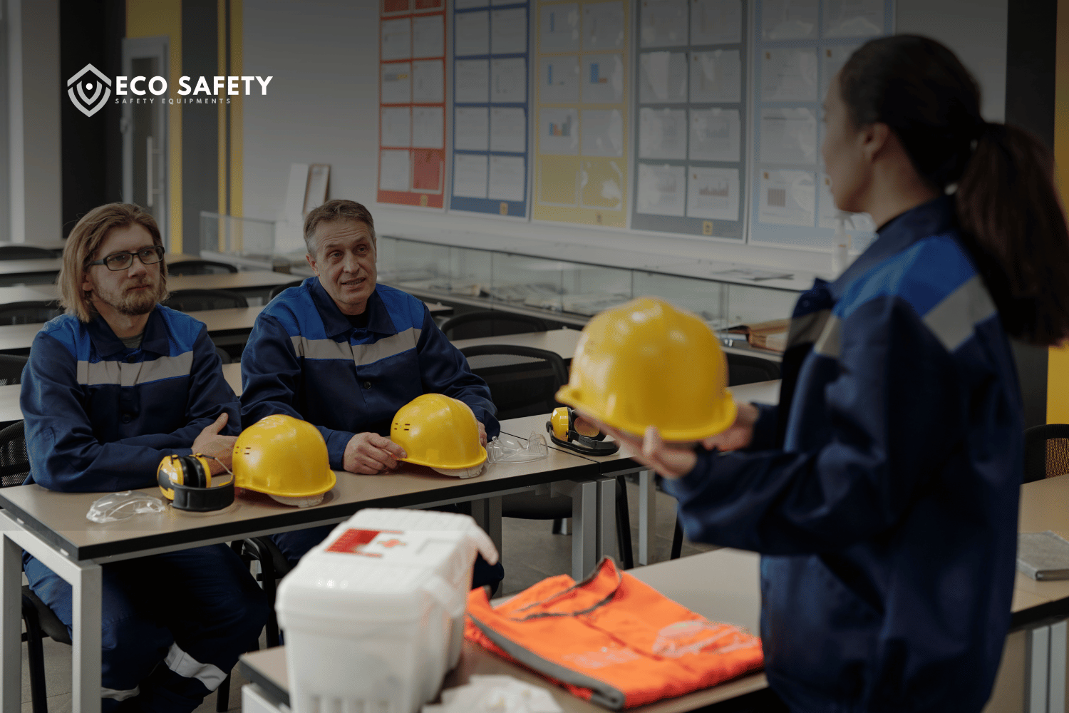 HSE - Ecosafety